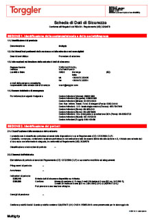 Multigrip Torggler | EdilBIM